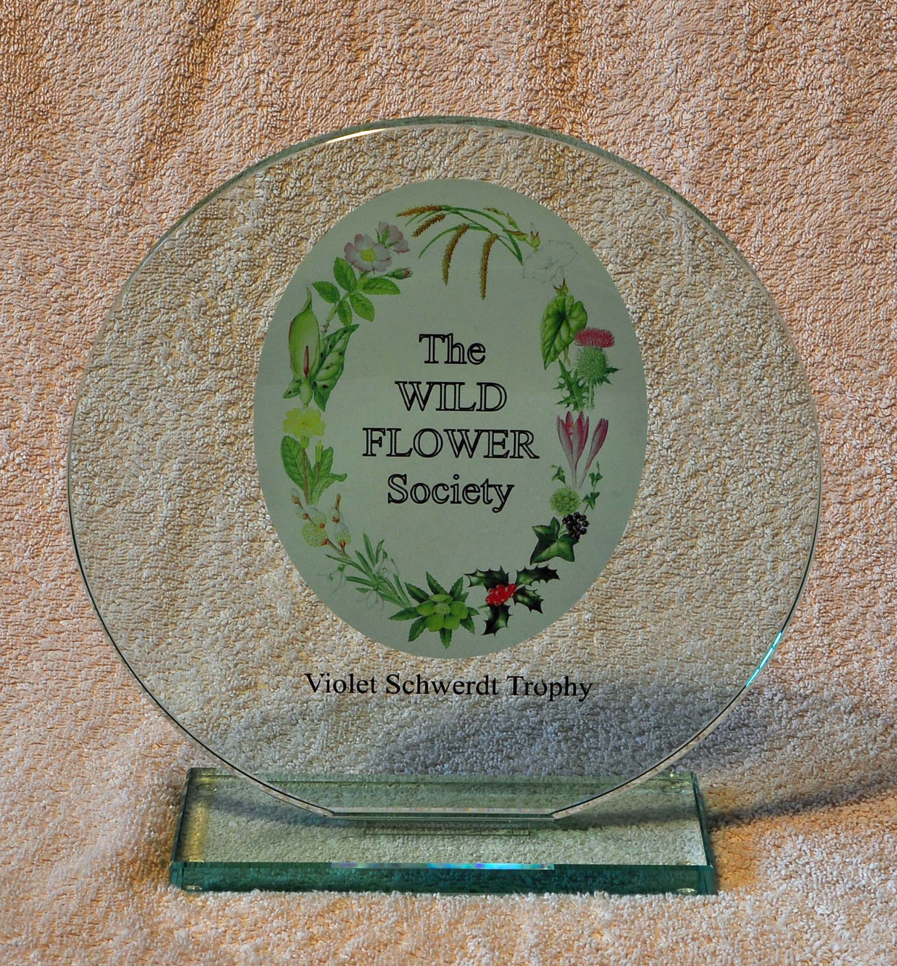 Annual Photo Competition | The Wild Flower Society